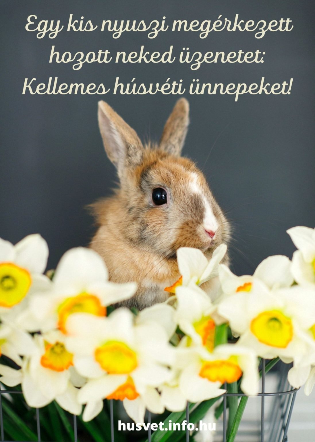 Húsvéti köszöntők - Husvet.info.hu